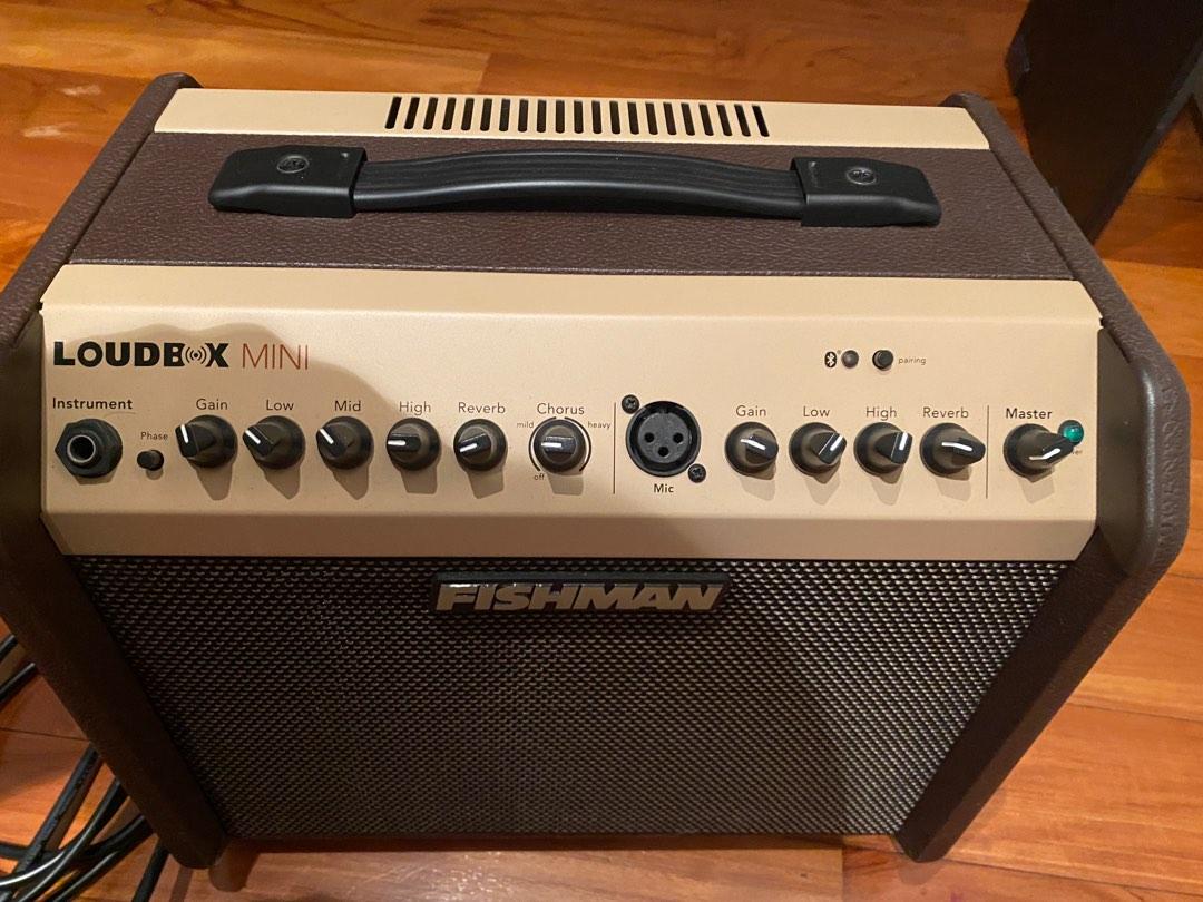 Fishman Loudbox Mini Acoustic Guitar Amplifier, Hobbies & Toys, Music ...