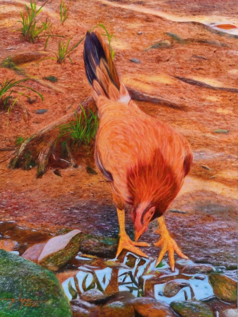 Manok Sa Batuhan - Ronald Lopez, Hobbies & Toys, Stationary & Craft ...