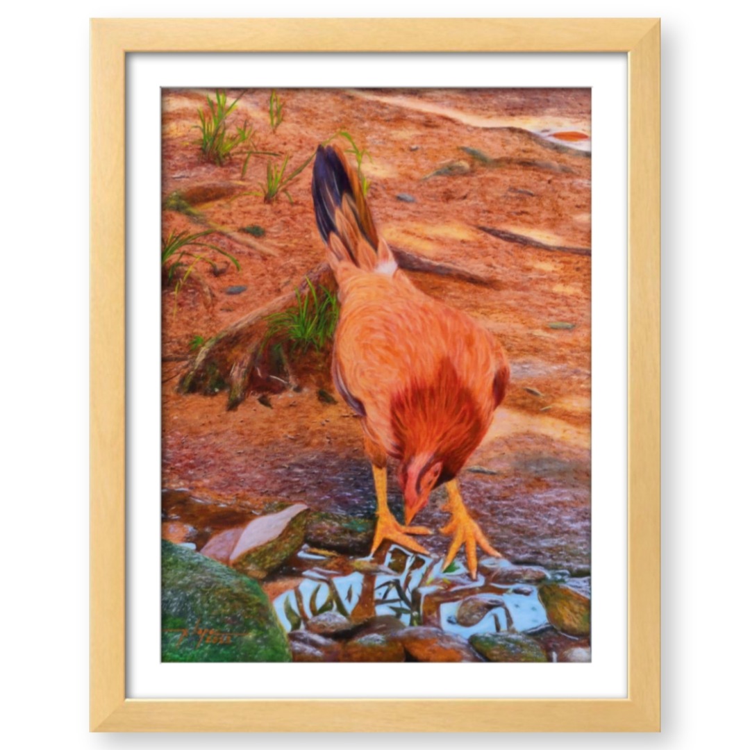 Manok Sa Batuhan - Ronald Lopez, Hobbies & Toys, Stationary & Craft ...