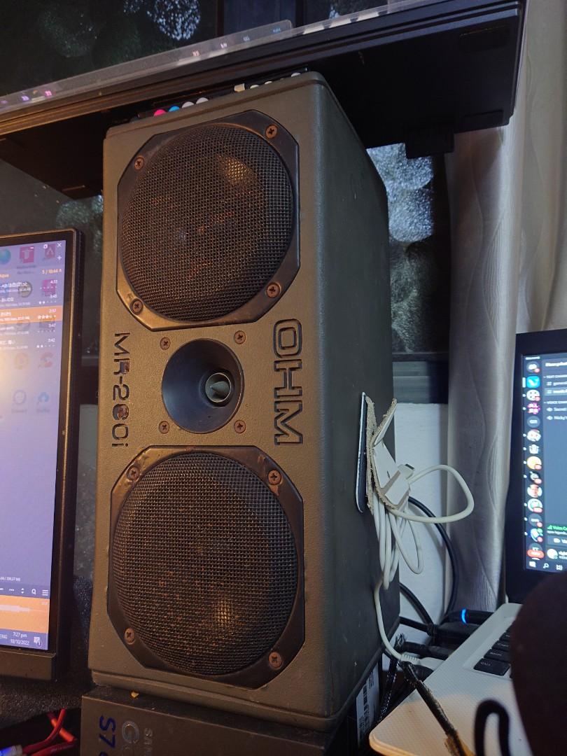 OHM MR-260i Monitor Horn Speakers Audiophile HiFi Quality Studio ...