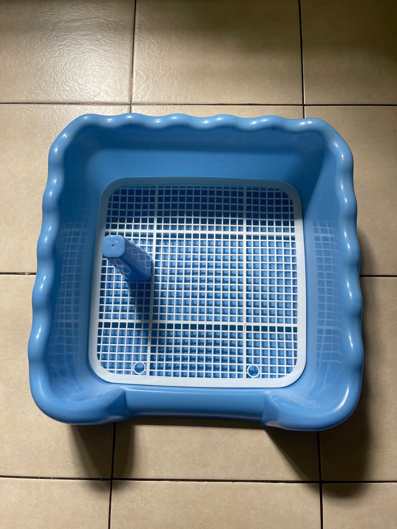 Pee tray, Pet Supplies, Homes & Other Pet Accessories on Carousell