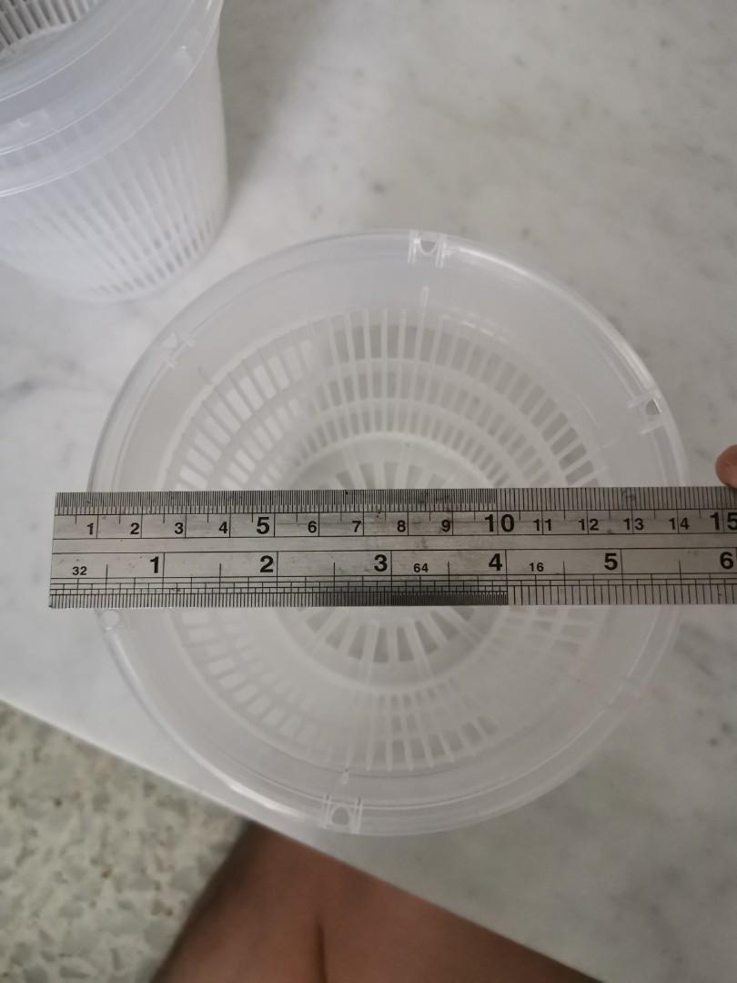 Phalaenopsis Pots 14cm wide x 12cm height, Furniture & Home Living ...