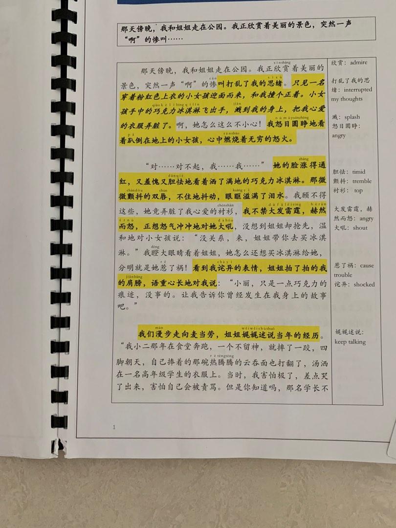 PSLE Higher Chinese Composition Compilation, Hobbies & Toys, Books ...