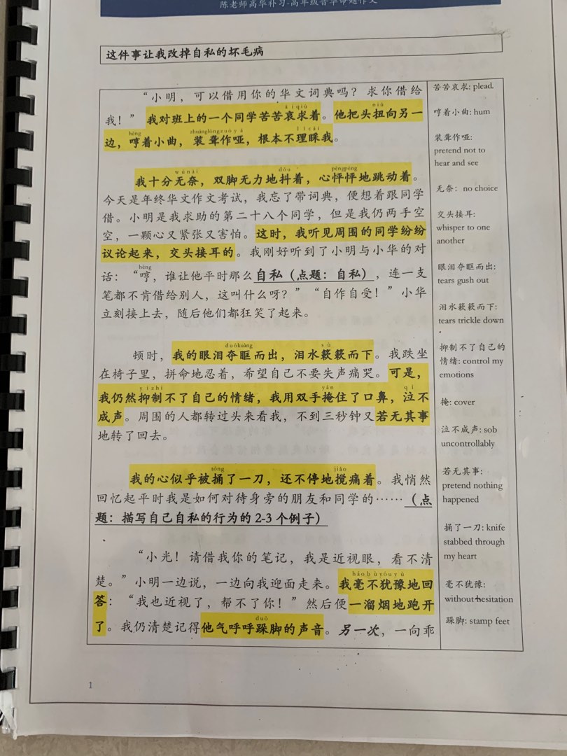 PSLE Higher Chinese Composition Compilation, Hobbies & Toys, Books ...