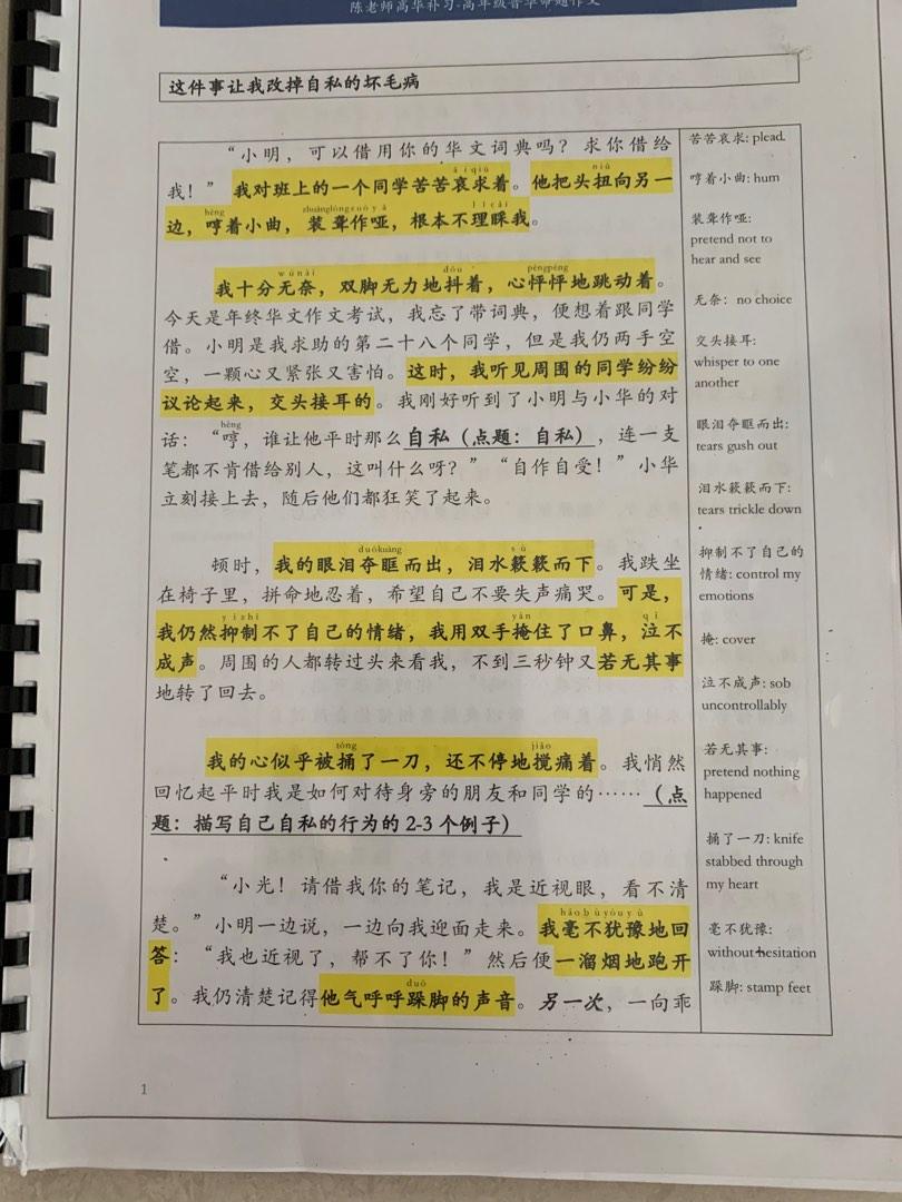 PSLE Higher Chinese Composition Compilation, Hobbies & Toys, Books ...