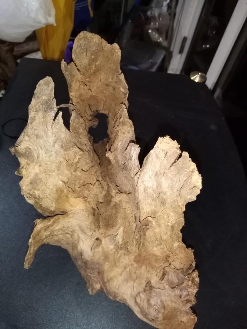 Rare large hollow log (unbroken), Pet Supplies, Homes & Other Pet ...