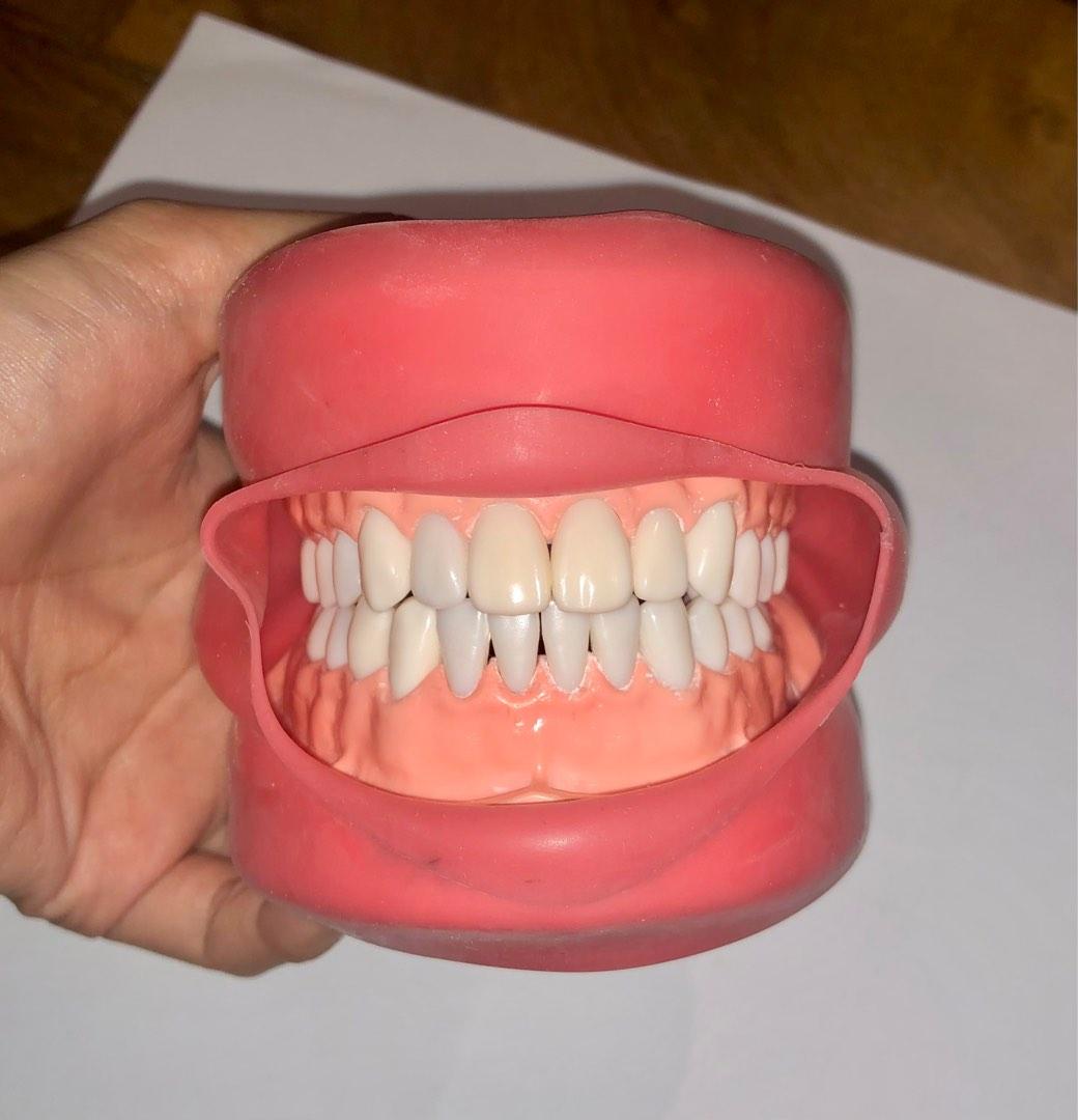 Rubber Cheek, Health & Nutrition, Medical Supplies & Tools on Carousell