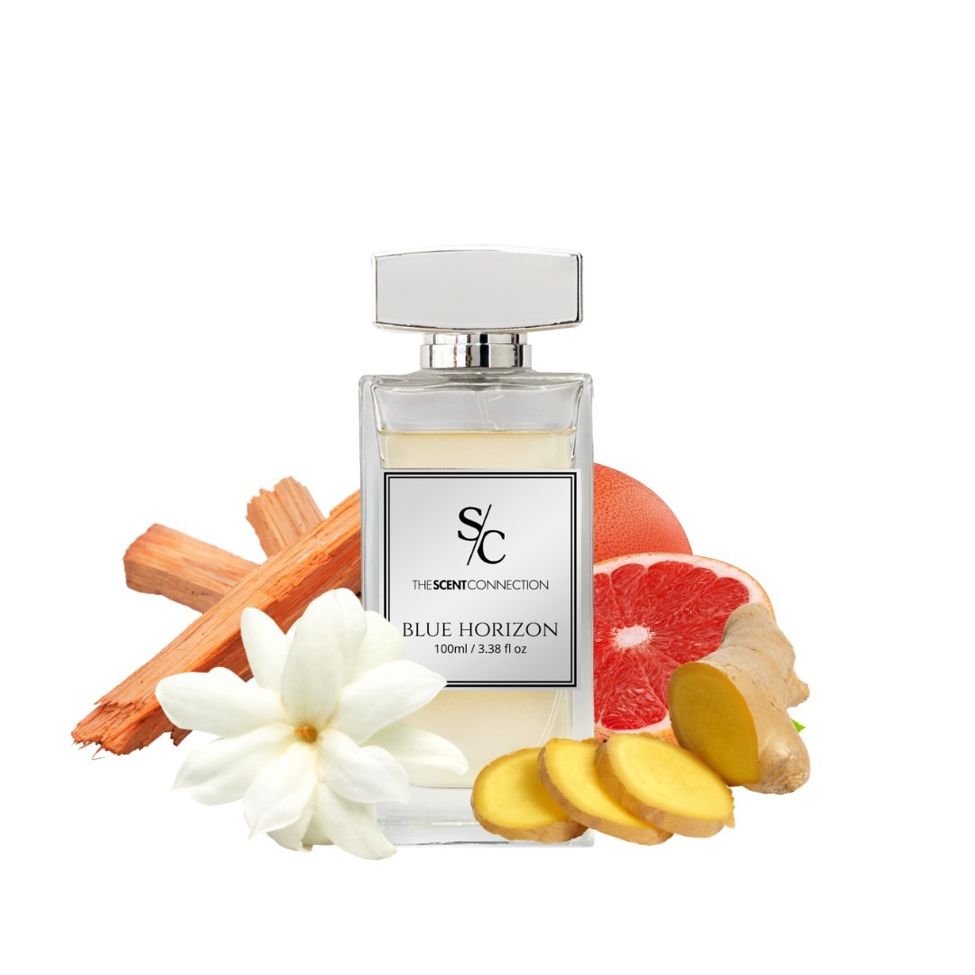 Scent Connection's Blue Horizon (Inspired by Bleu de Chanel by Chanel ...