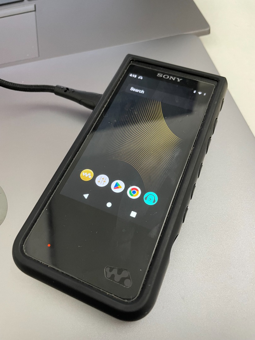 Sony NW-ZX507 Walkman® ZX Series / MUSIC PLAYER ZX507, Audio, Portable ...