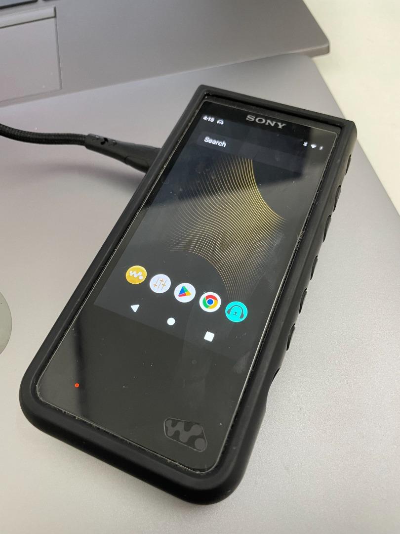 Sony NW-ZX507 Walkman® ZX Series / MUSIC PLAYER ZX507, Audio, Portable ...