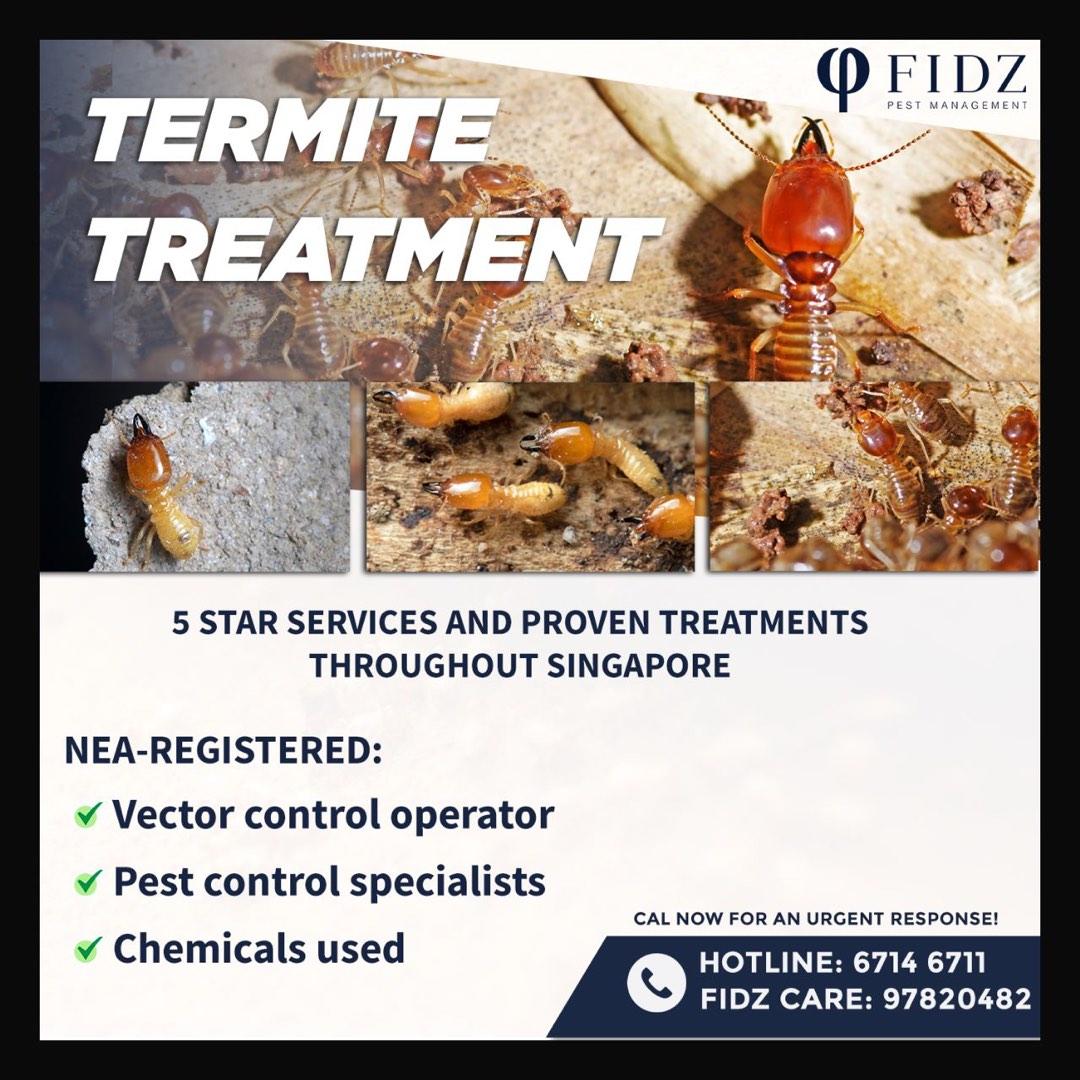 TERMITES SOIL TREATMENT AND RENOVATION TERMITES PREVENTION, Furniture ...