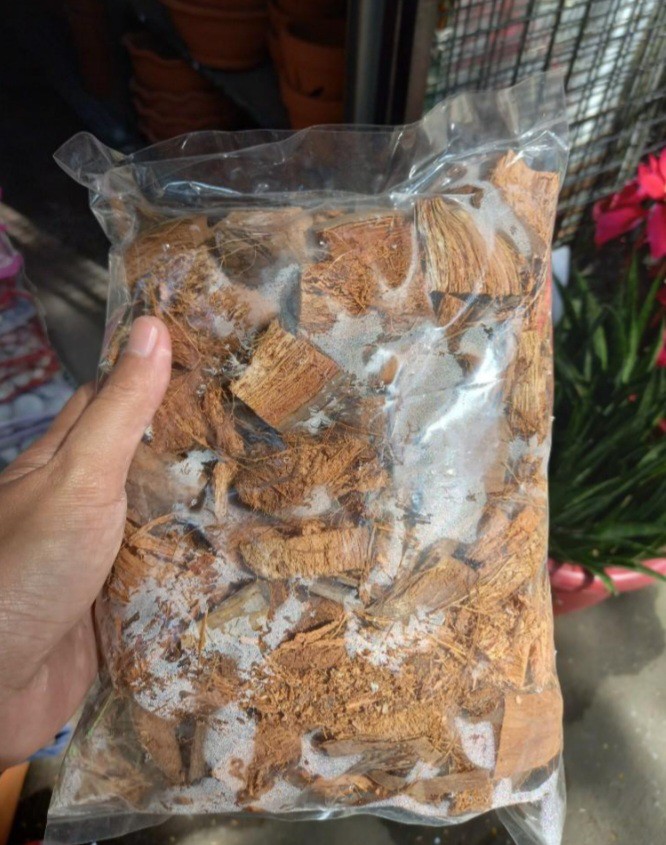 Coco Cubes, Furniture & Home Living, Gardening, Pots & Planters on ...