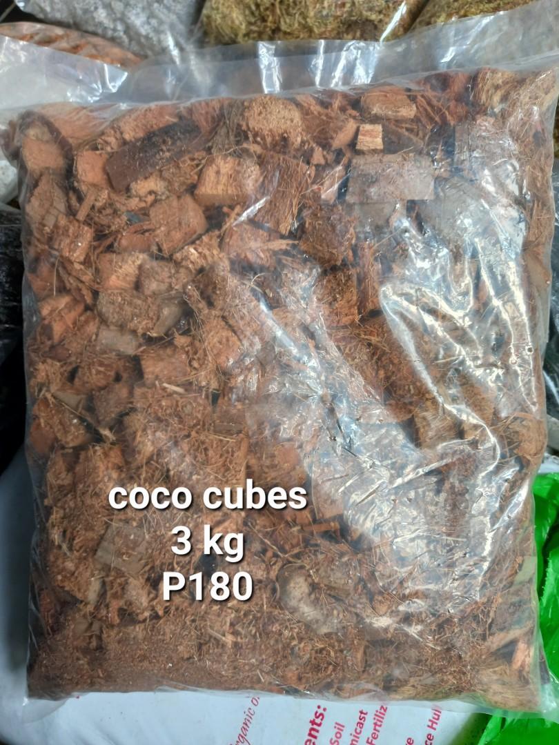 Coco Cubes, Furniture & Home Living, Gardening, Pots & Planters on Carousell
