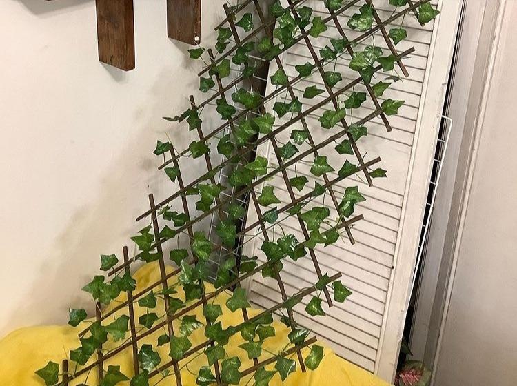 Expandable Divider Vines, Furniture & Home Living, Home Decor ...