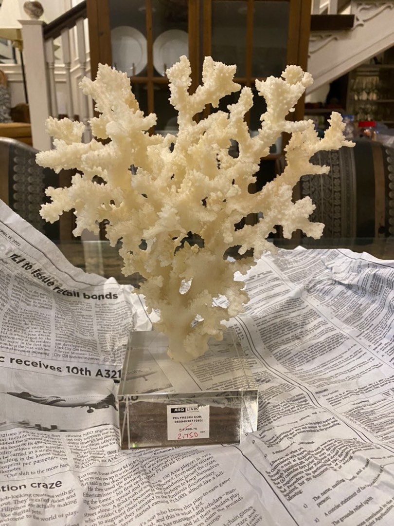 Faux Coral Decor, Furniture & Home Living, Home Decor, Other Home Decor ...