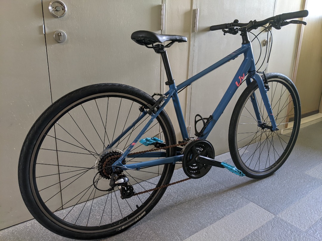 Liv Alight 2, Sports Equipment, Bicycles & Parts, Bicycles on Carousell