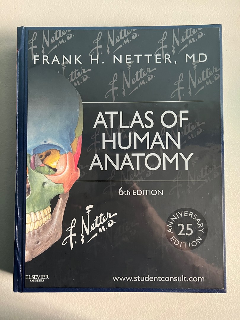 Netter Atlas of Human Anatomy, Hobbies & Toys, Books & Magazines ...