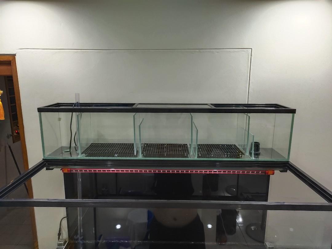 4ft Crystal Glass Tank, Pet Supplies, Homes & Other Pet Accessories on ...