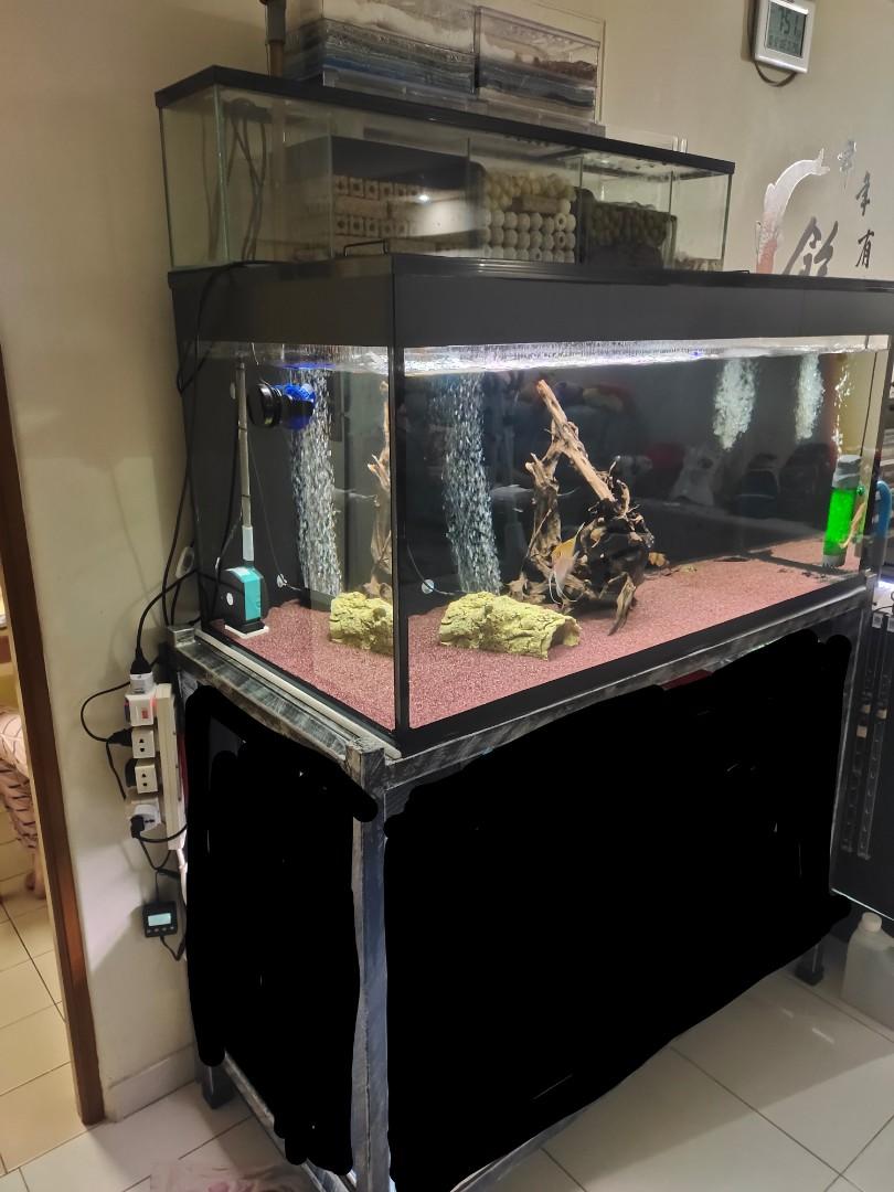 4ft Crystal Glass Tank, Pet Supplies, Homes & Other Pet Accessories on ...