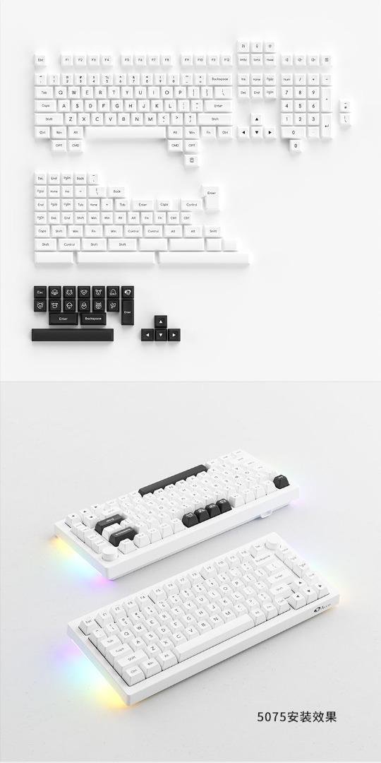 AKKO SAL Black on White keycaps BOW double shot PBT AKKO keychron GMMK ...