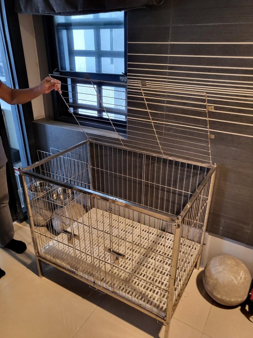 Double Gate Dog Cage, Pet Supplies, Homes & Other Pet Accessories on ...