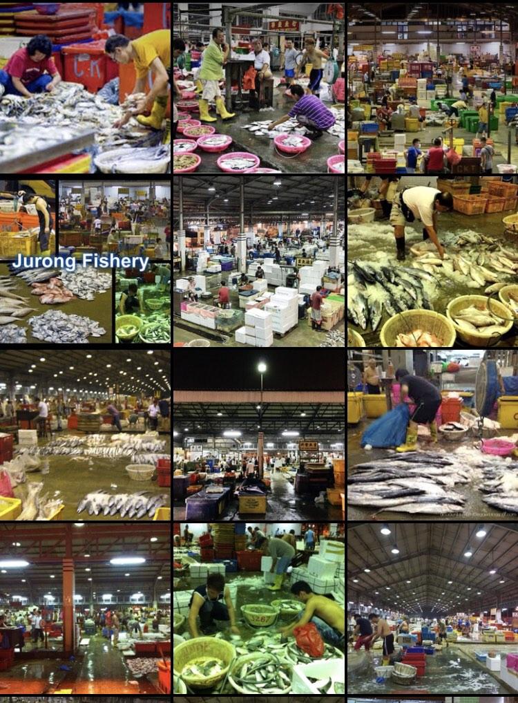 Jurong fishery port 1/2 seafood auction lot 37 Rent , Food & Drinks ...