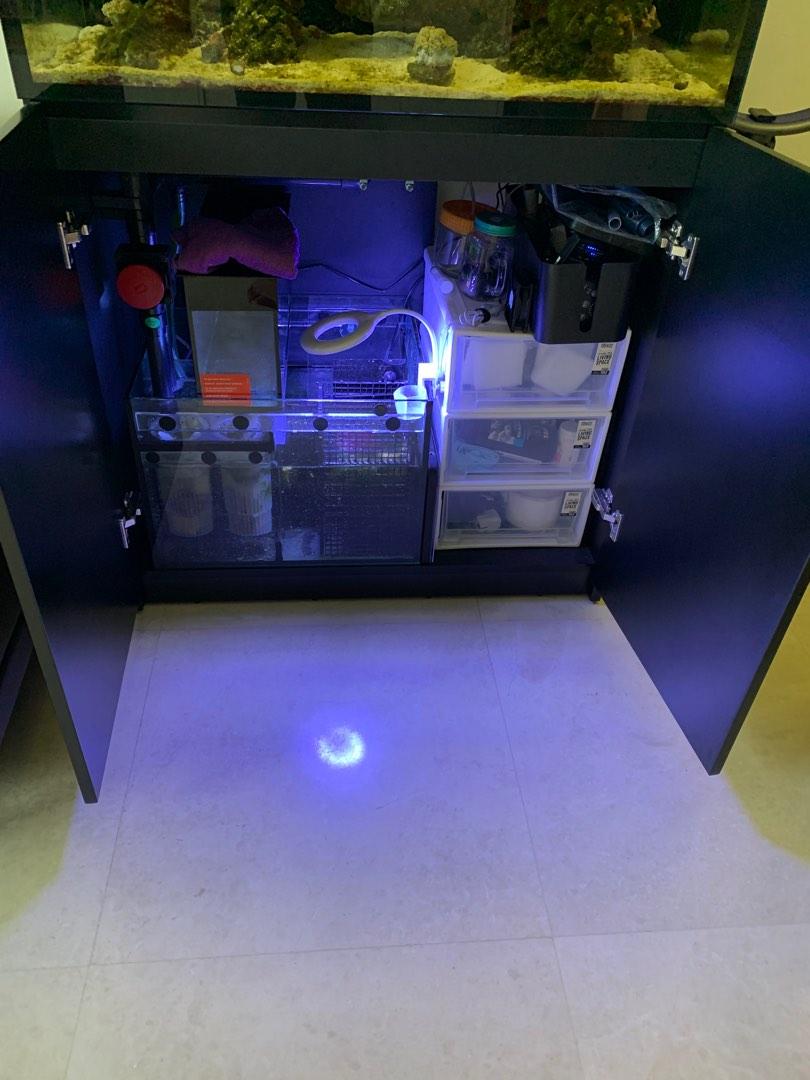 Red Sea Reefer 250 - immaculate condition, Pet Supplies, Homes & Other ...