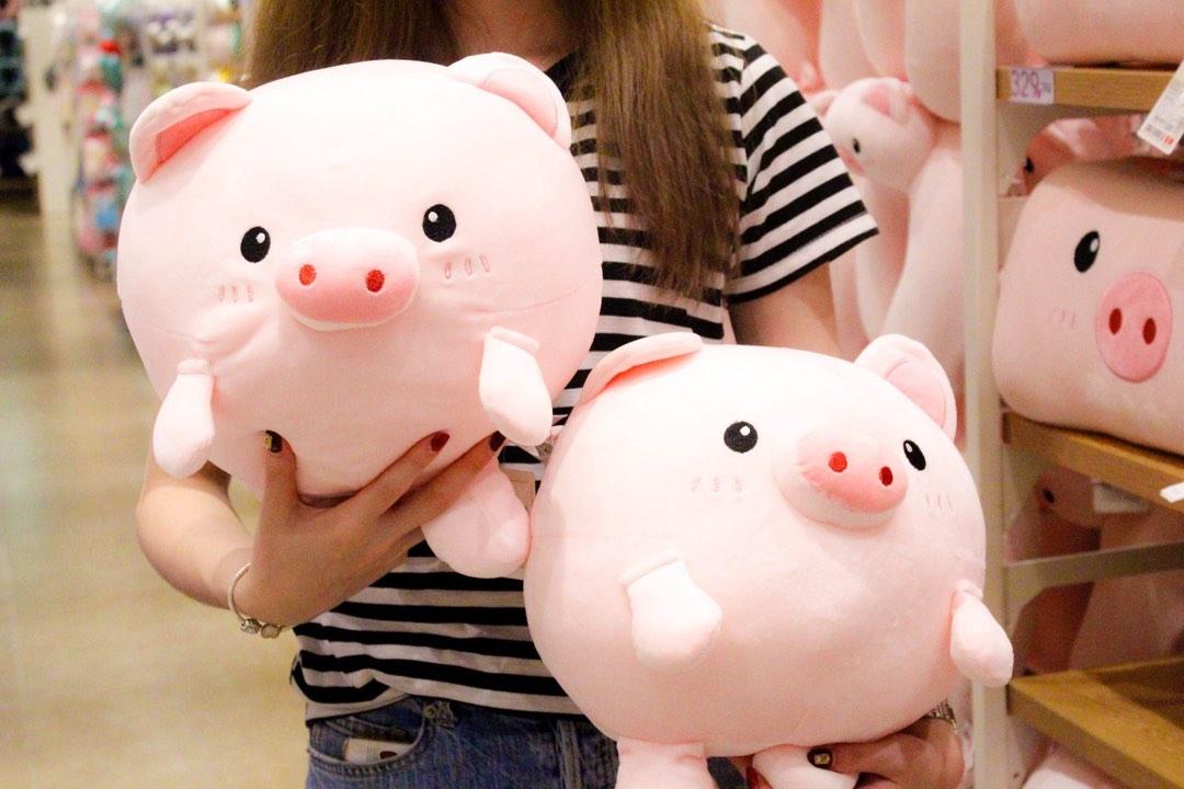 Round Pig Plush Toy by Miniso, Hobbies & Toys, Toys & Games on Carousell