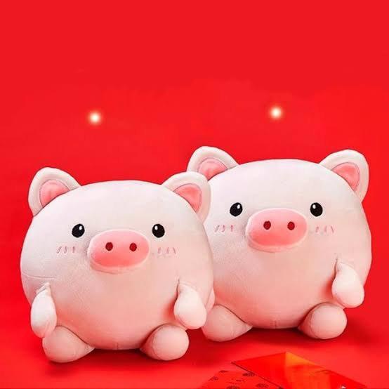 Round Pig Plush Toy by Miniso, Hobbies & Toys, Toys & Games on Carousell