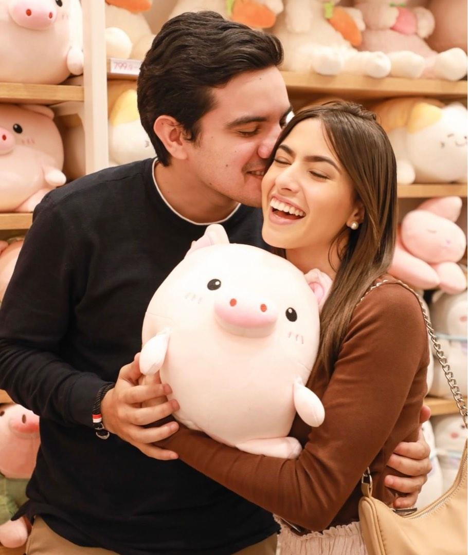 Round Pig Plush Toy by Miniso, Hobbies & Toys, Toys & Games on Carousell