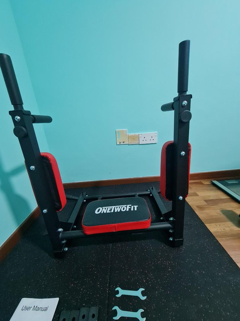 Wall mounted Pull-up & Dips bar, Sports Equipment, Exercise & Fitness ...