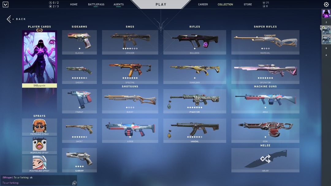 WTT/WTS 15 skins valorant account, Video Gaming, Gaming Accessories ...