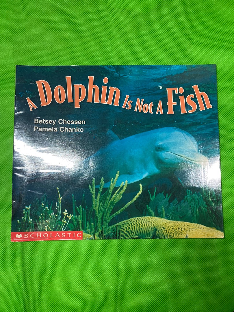 A DOLPHIN IS NOT A FISH, Hobbies & Toys, Books & Magazines, Children's ...