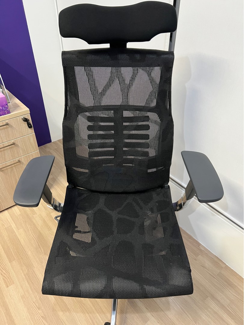 AM Office - Dynamic Bionic Spine Mesh Chair, Furniture & Home Living ...