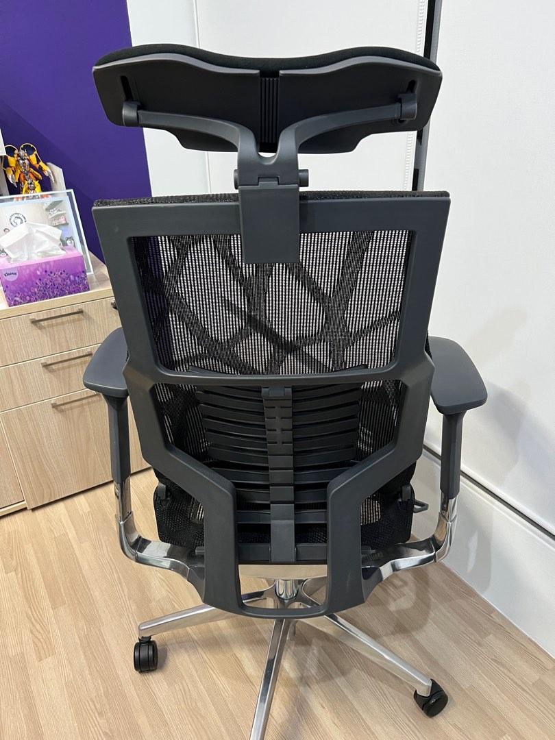 AM Office - Dynamic Bionic Spine Mesh Chair, Furniture & Home Living ...