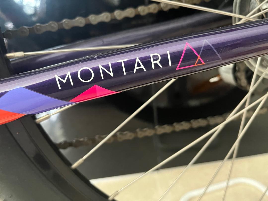 Avanti Montari SM1 Bike $300, Sports Equipment, Bicycles & Parts ...