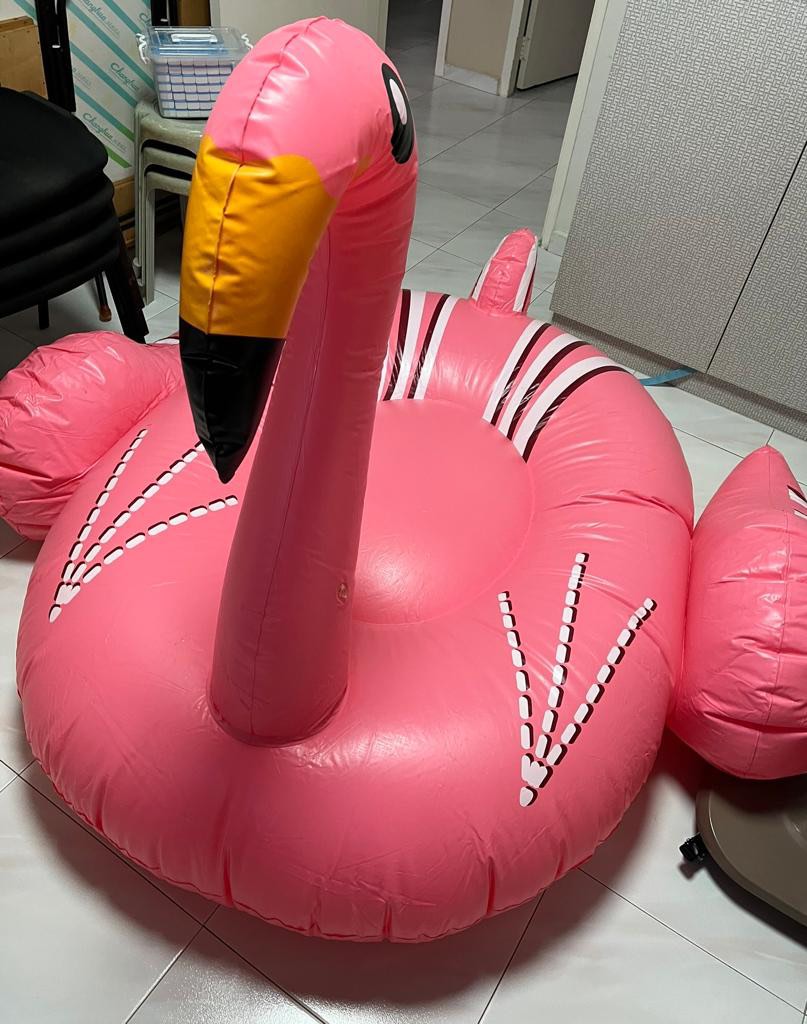 Jumbo Inflatable Flamingo Float, Sports Equipment, Other Sports ...