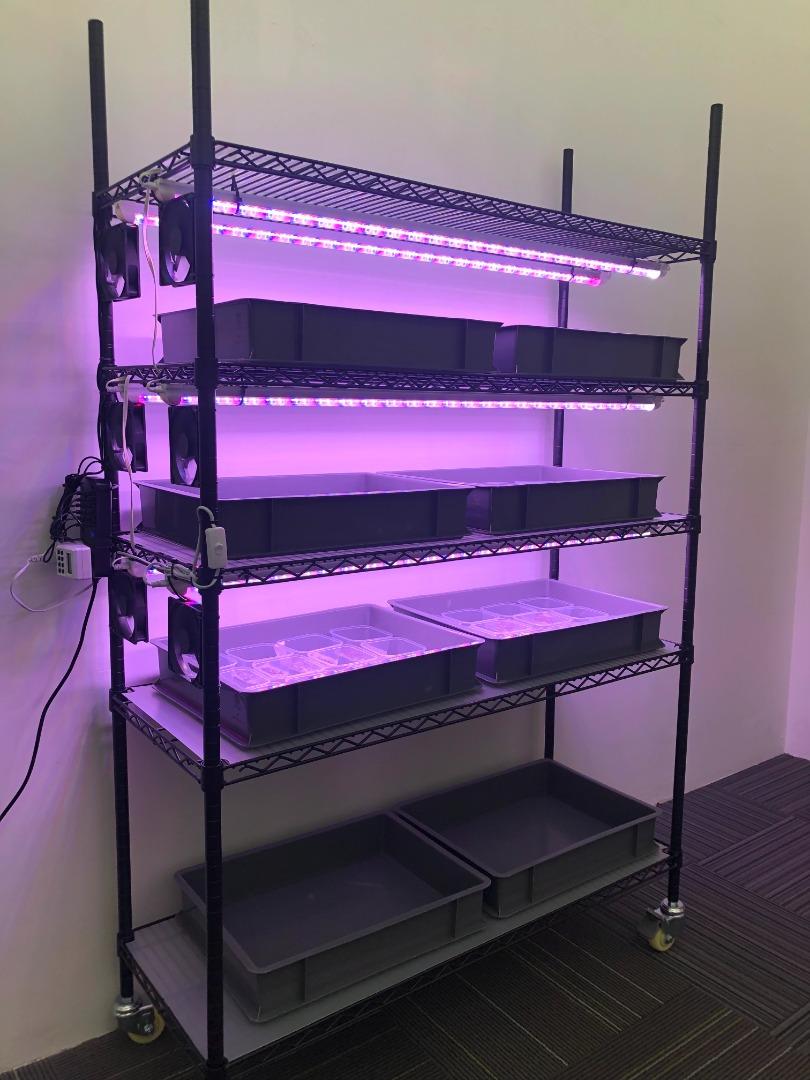 Racks for storage and Urban farming, Furniture & Home Living, Furniture ...