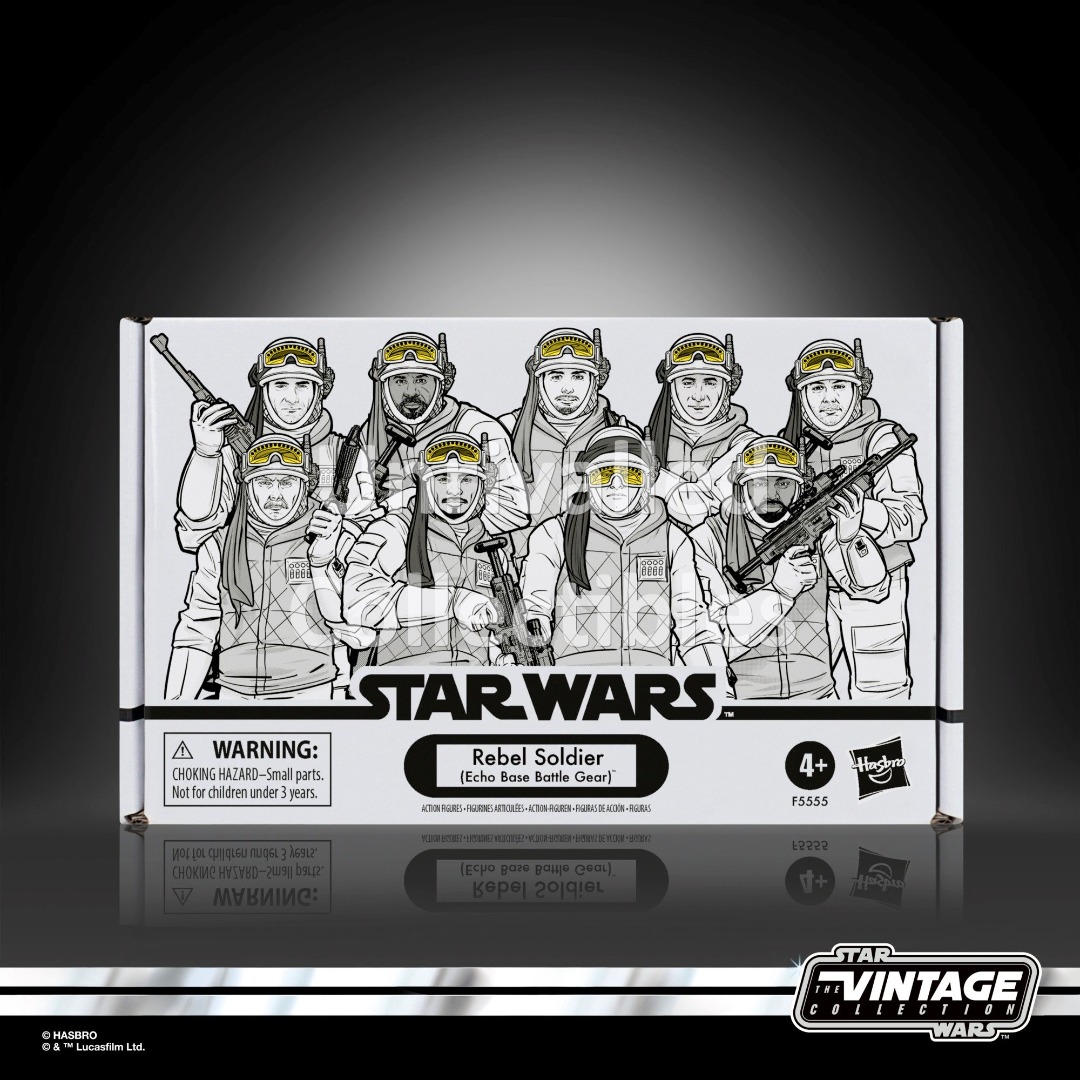 [In Hand] Hasbro Star Wars SW The Vintage Collection TVC 3.75 inches ...