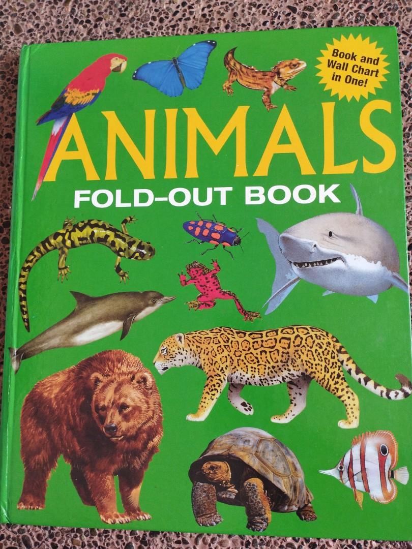 Animals Fold Out Book, Hobbies & Toys, Books & Magazines, Children's ...