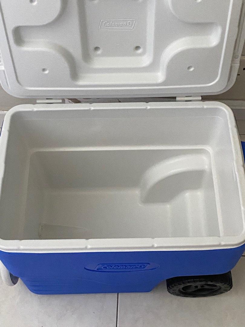 Coleman Ice Box, Furniture & Home Living, Home Improvement ...