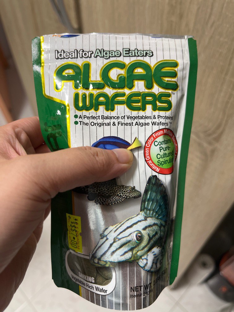 Hikari Algae Wafers for Fish, Pet Supplies, Pet Food on Carousell