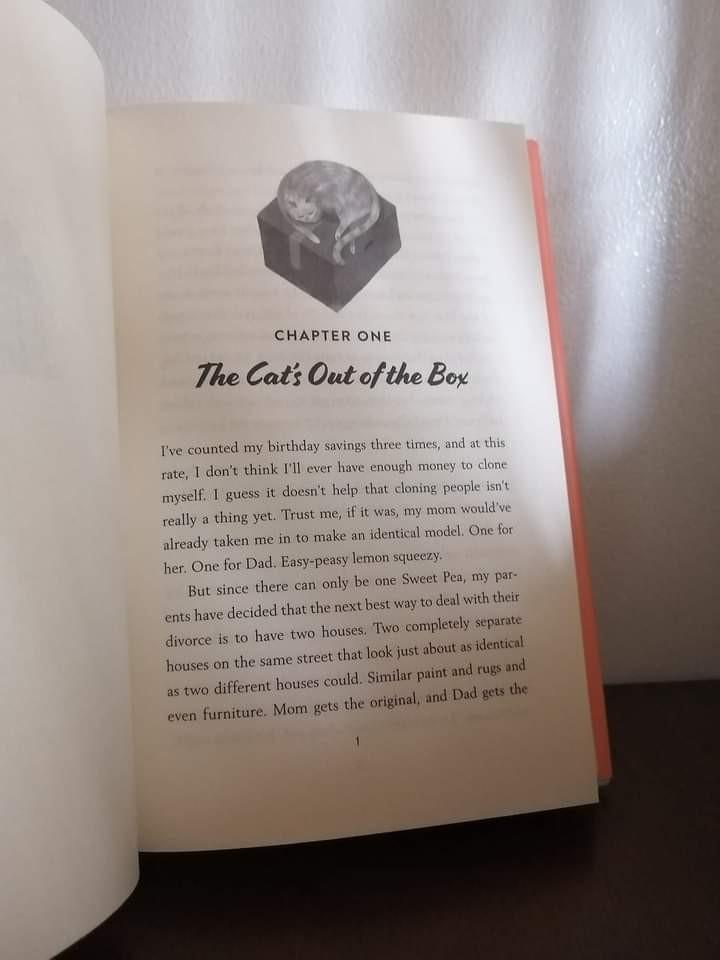 How to draw book & Julie Murphy Dear Sweet Pea / figure drawing fiction ...