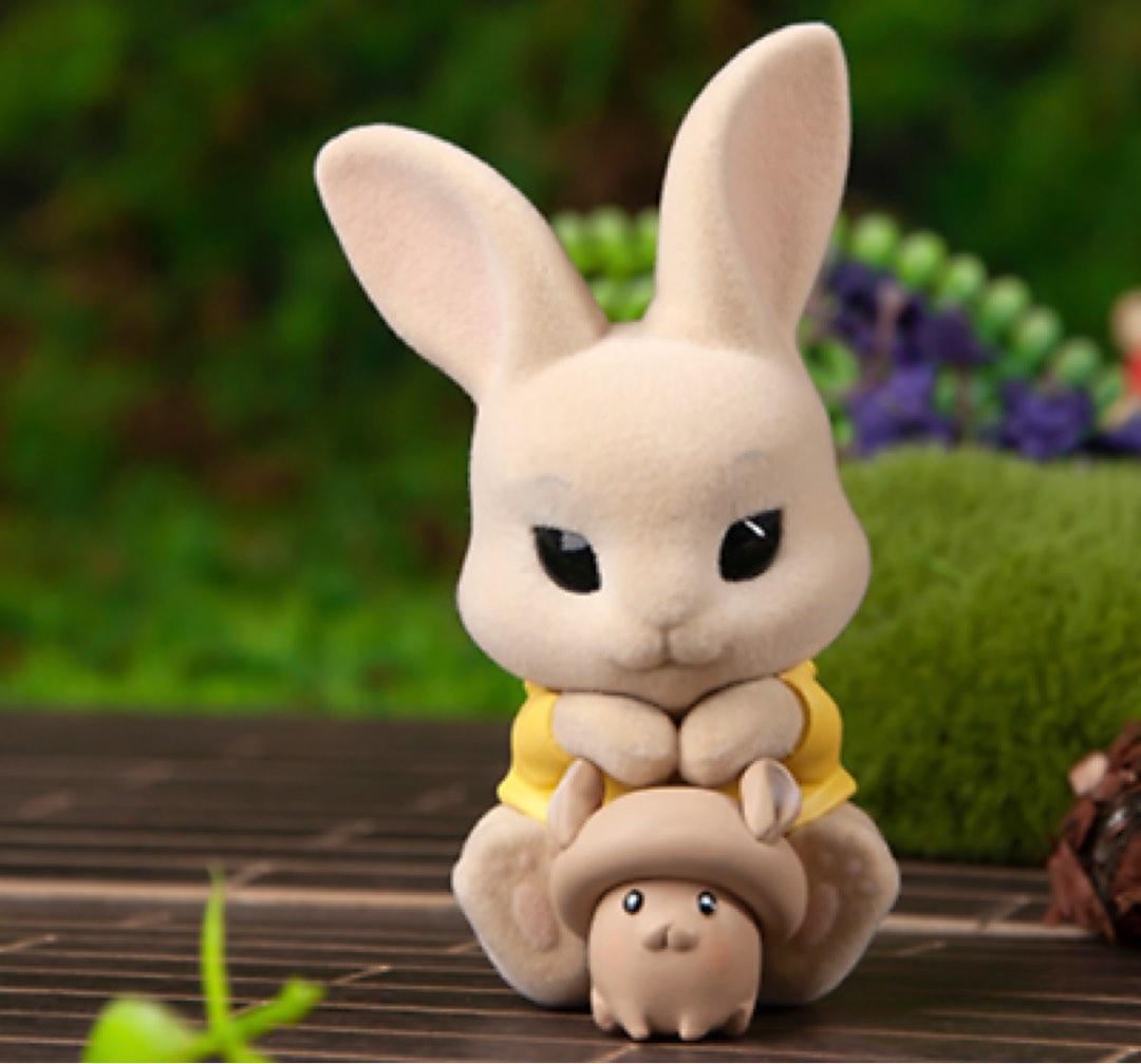 Peter Rabbit Vegetable Fairy Series, Hobbies & Toys, Toys & Games on ...