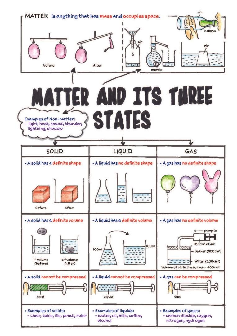 PSLE Science Sketchnotes (2nd Edition), Everything Else on Carousell