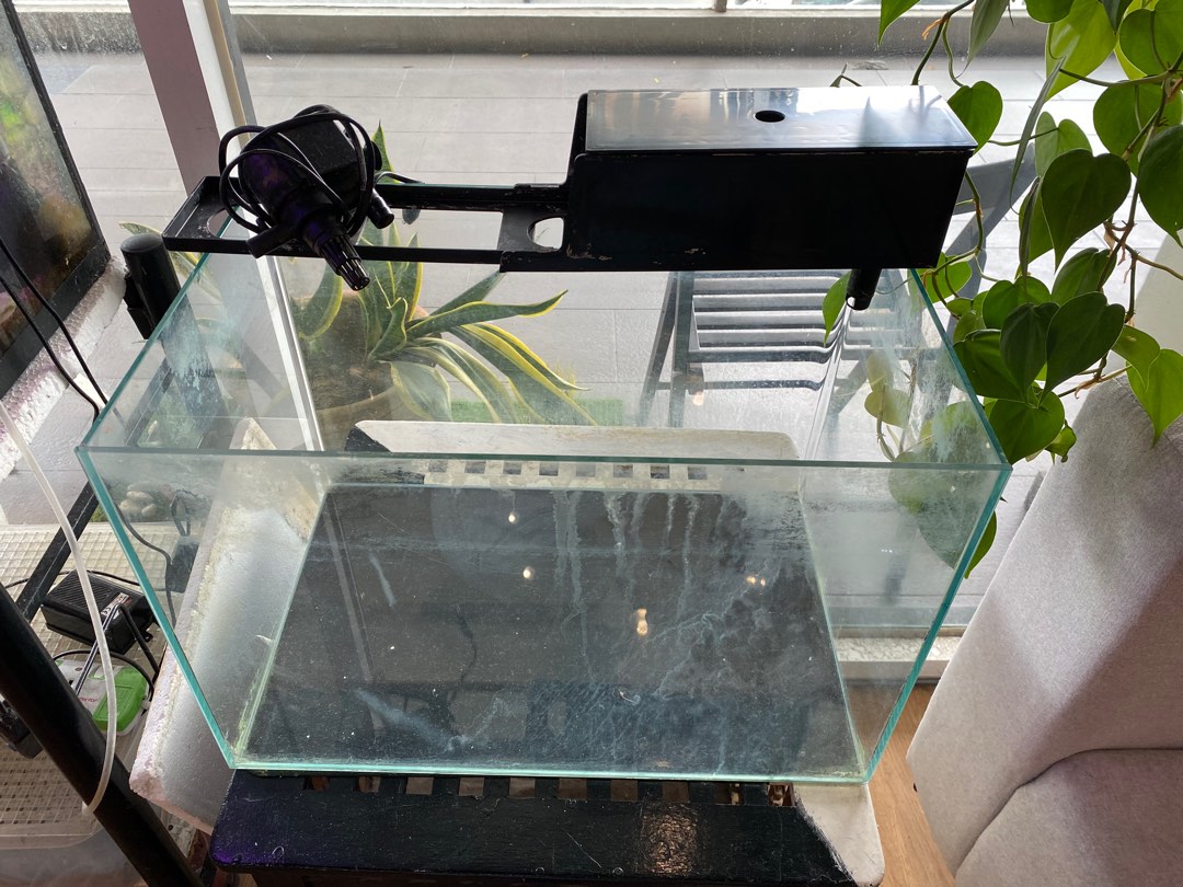 tangki ikan, Pet Supplies, Homes & Other Pet Accessories on Carousell