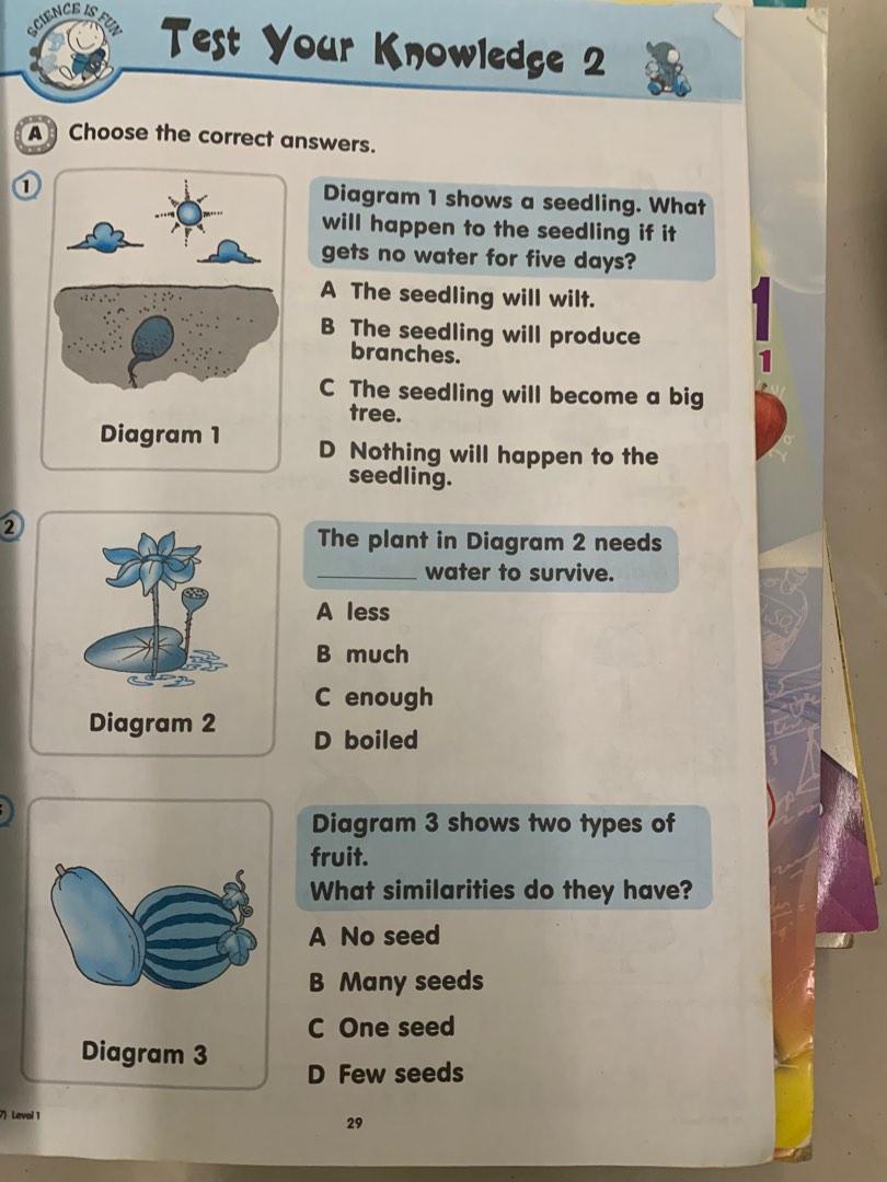 Young Scientist Series/Magazines, Hobbies & Toys, Books & Magazines ...