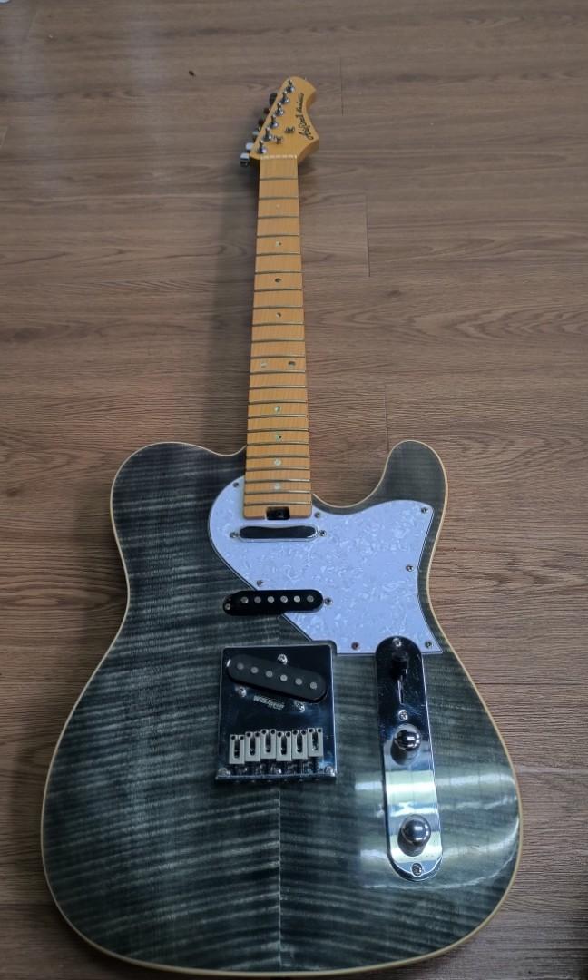 Aria pro II Nashville tele, Hobbies & Toys, Music & Media, Musical ...