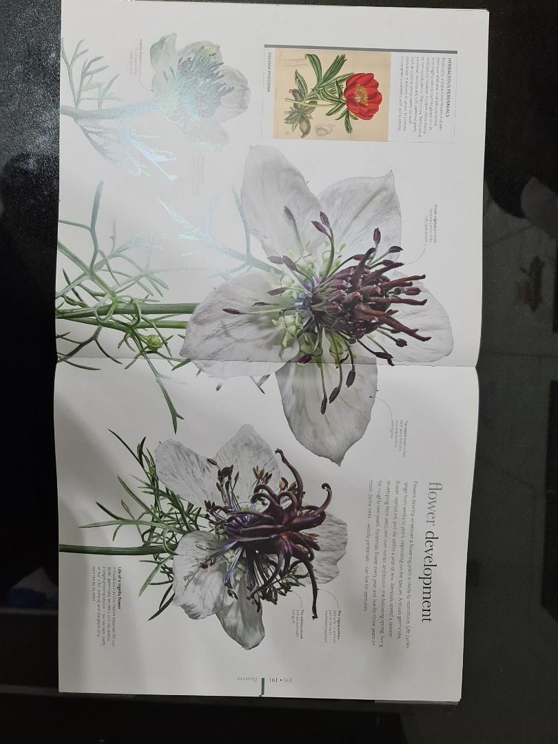 Flora science encyclopedia. With illustrations, Hobbies & Toys, Books ...