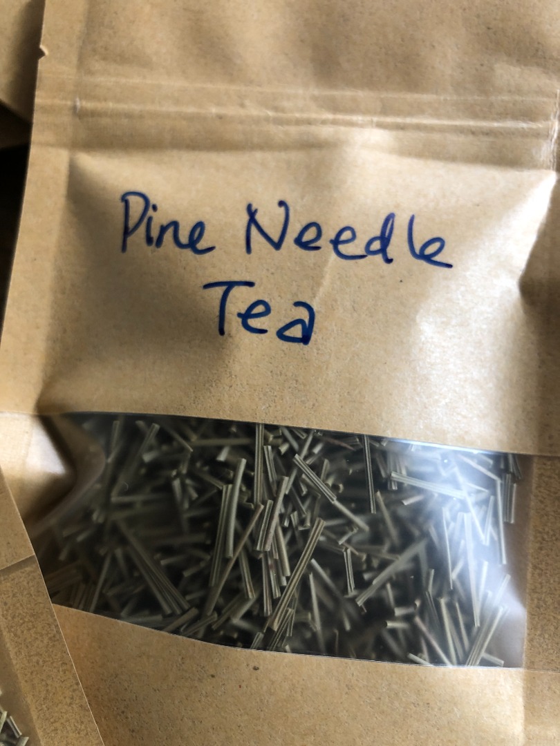 FREE Fresh Dried Croatian Wild PINE NEEDLE Tea, Rich in Suramin ...